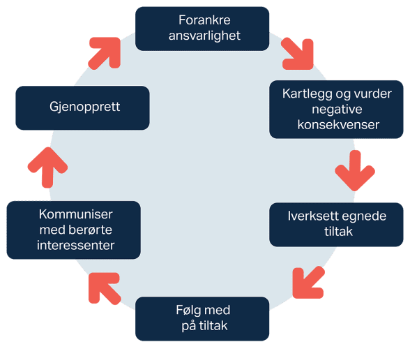 Revisors sjekkliste for åpenhetsloven - Forbrukertilsynet